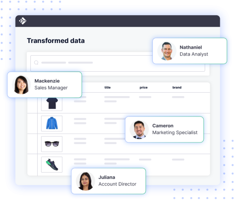 System Integrators | Feedonomics™